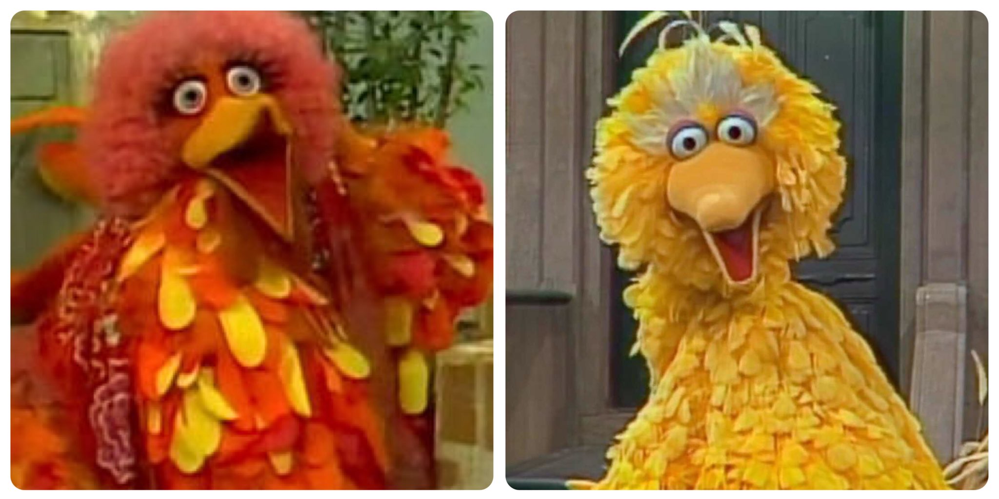 Parodias Padre de Familia 1×02 - Nunca Conocí al Muerto - Parodias Animadas